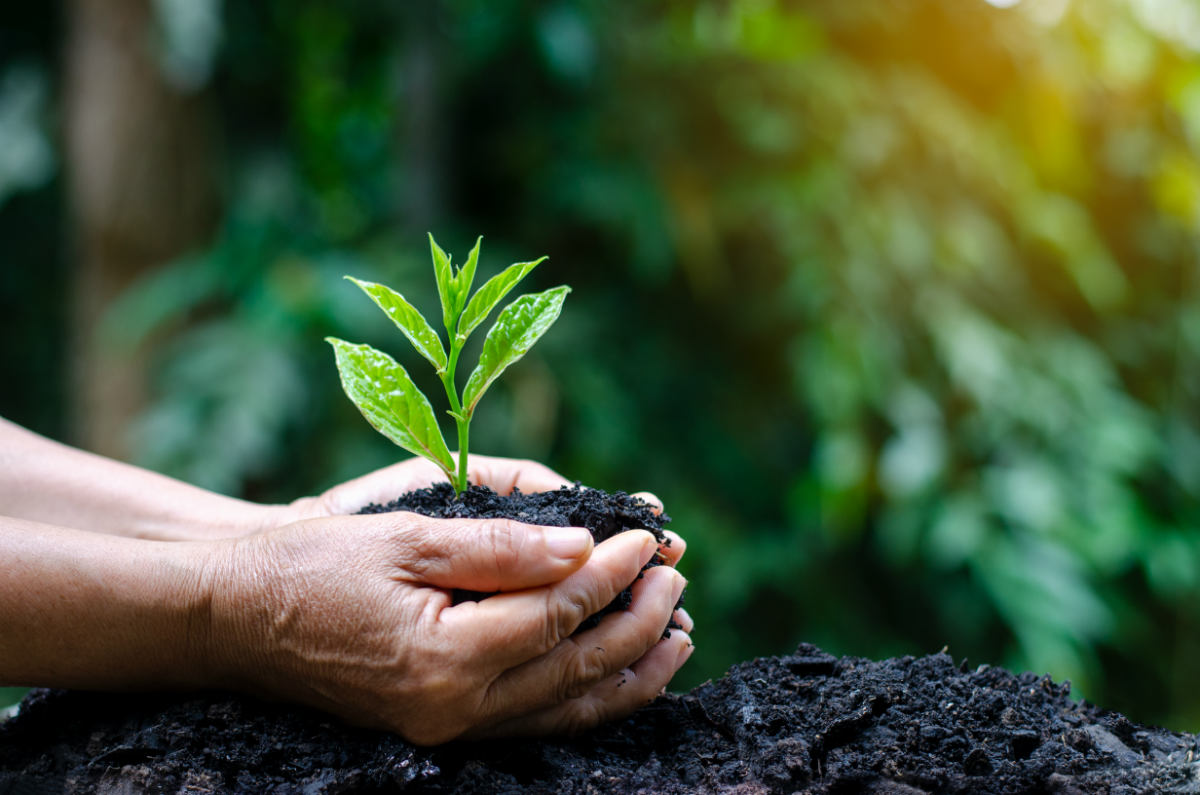 Fertilizer Asia - Advisory, Consulting, Brokerage & Education ...