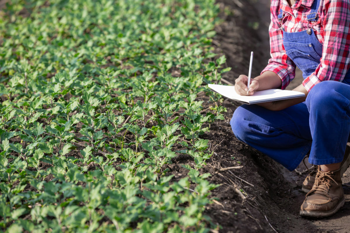 Fertilizer Asia - Advisory, Consulting, Brokerage & Education ...